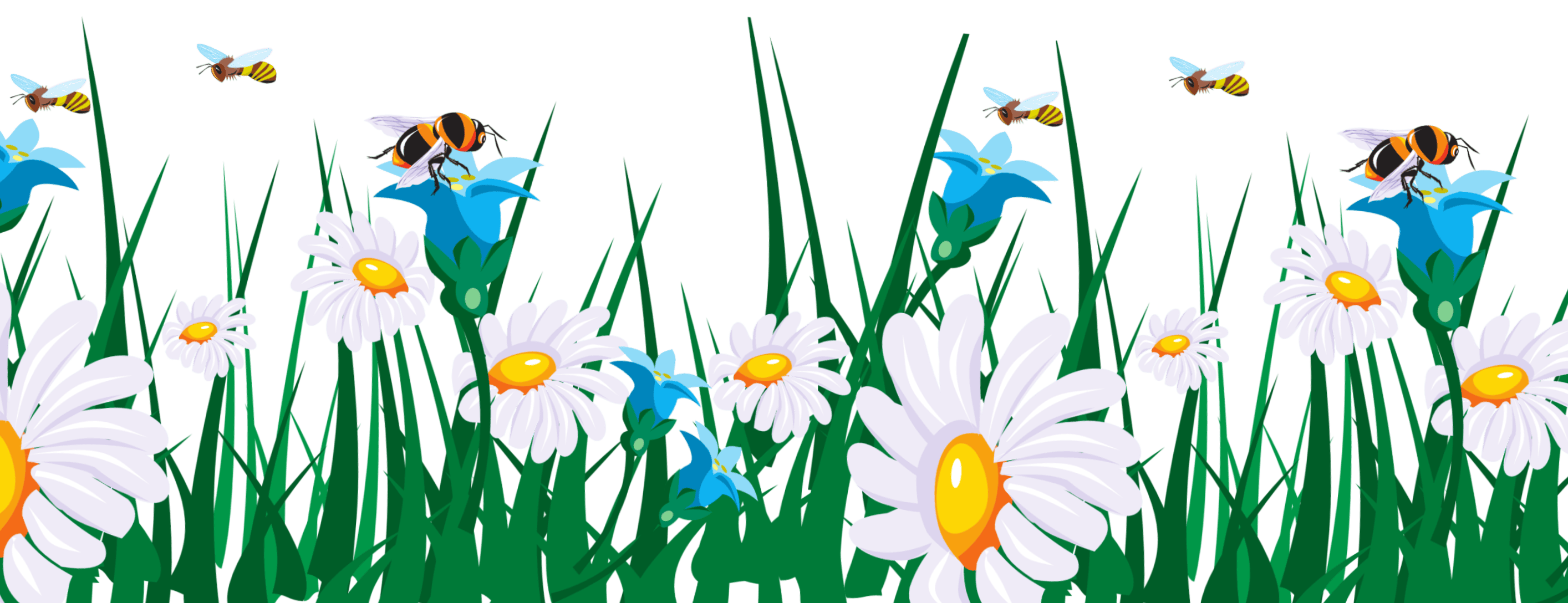 6 Things More Helpful Than No Mow May PLOWZ And MOWZ 6 Things More Helpful Than No Mow May PLOWZ And MOWZ